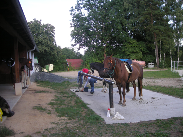 Pferdehof Kraxenberg